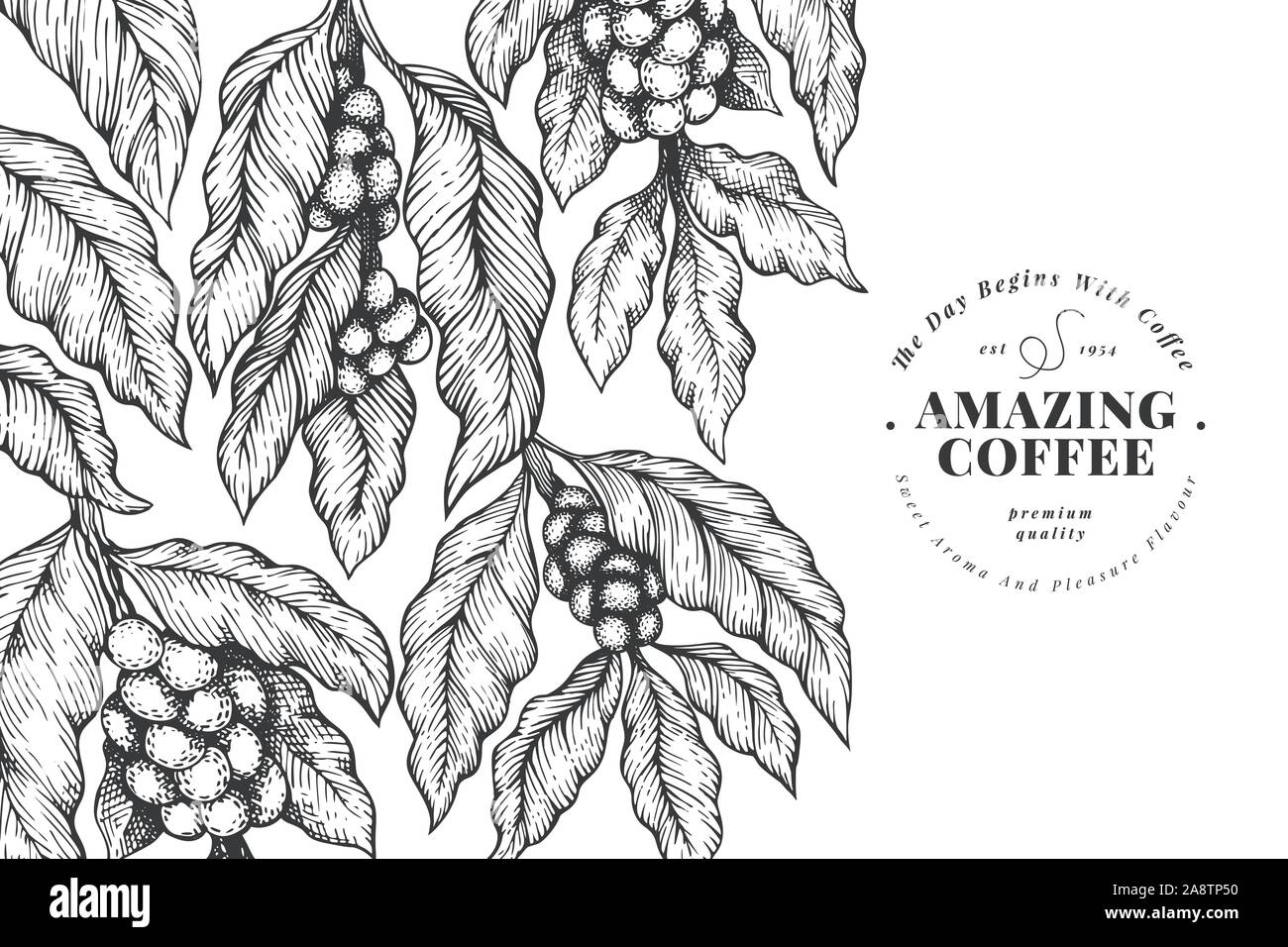 Coffee vector design template. Retro coffee background. Hand drawn ...