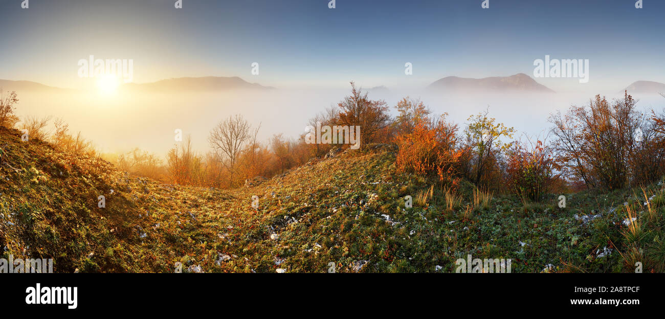 Slovakia forest hi-res stock photography and images - Alamy