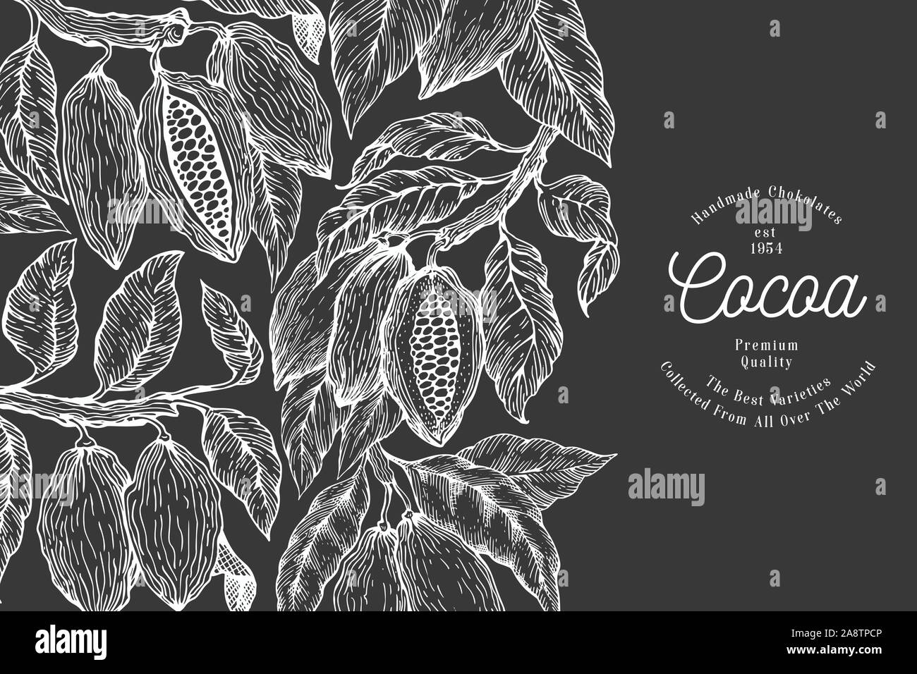 Cocoa design template. Chocolate cocoa beans background. Vector hand ...