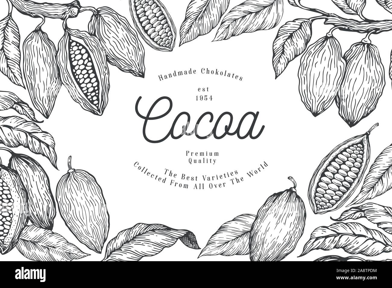 Cocoa design template. Chocolate cocoa beans background. Vector hand ...