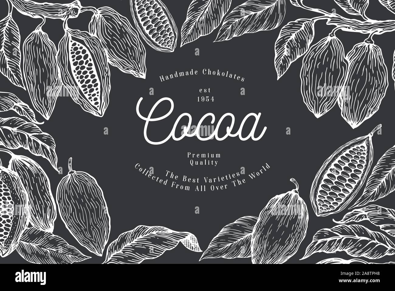 Cocoa design template. Chocolate cocoa beans background. Vector hand ...