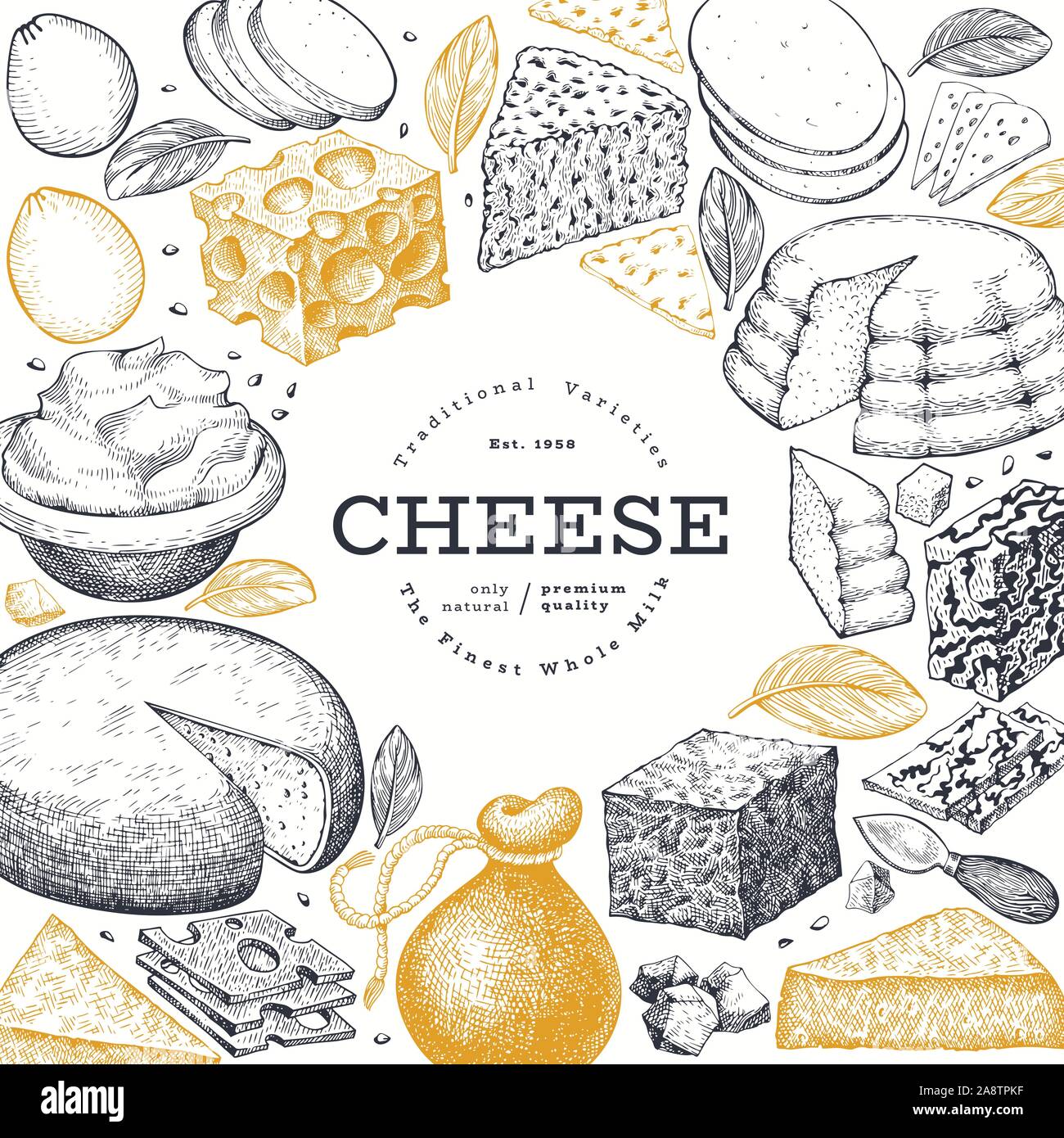 Cheese design template. Hand drawn vector dairy illustration. Engraved ...
