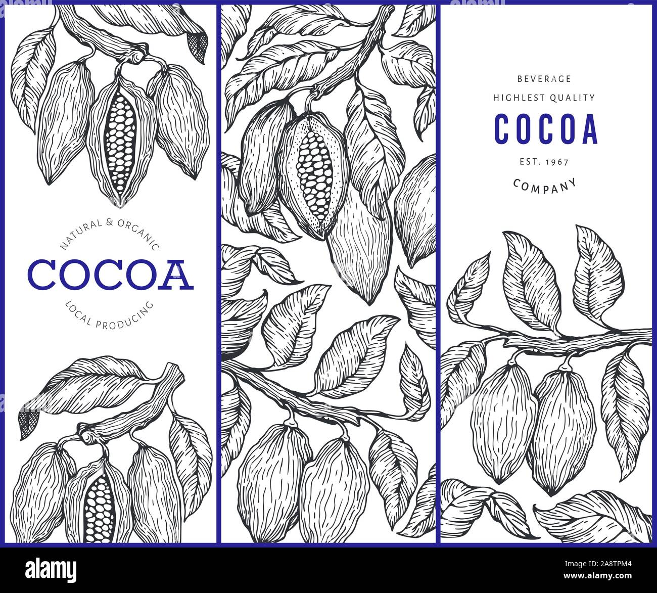 Cocoa banners set. Chocolate cocoa beans background. Vector hand drawn ...
