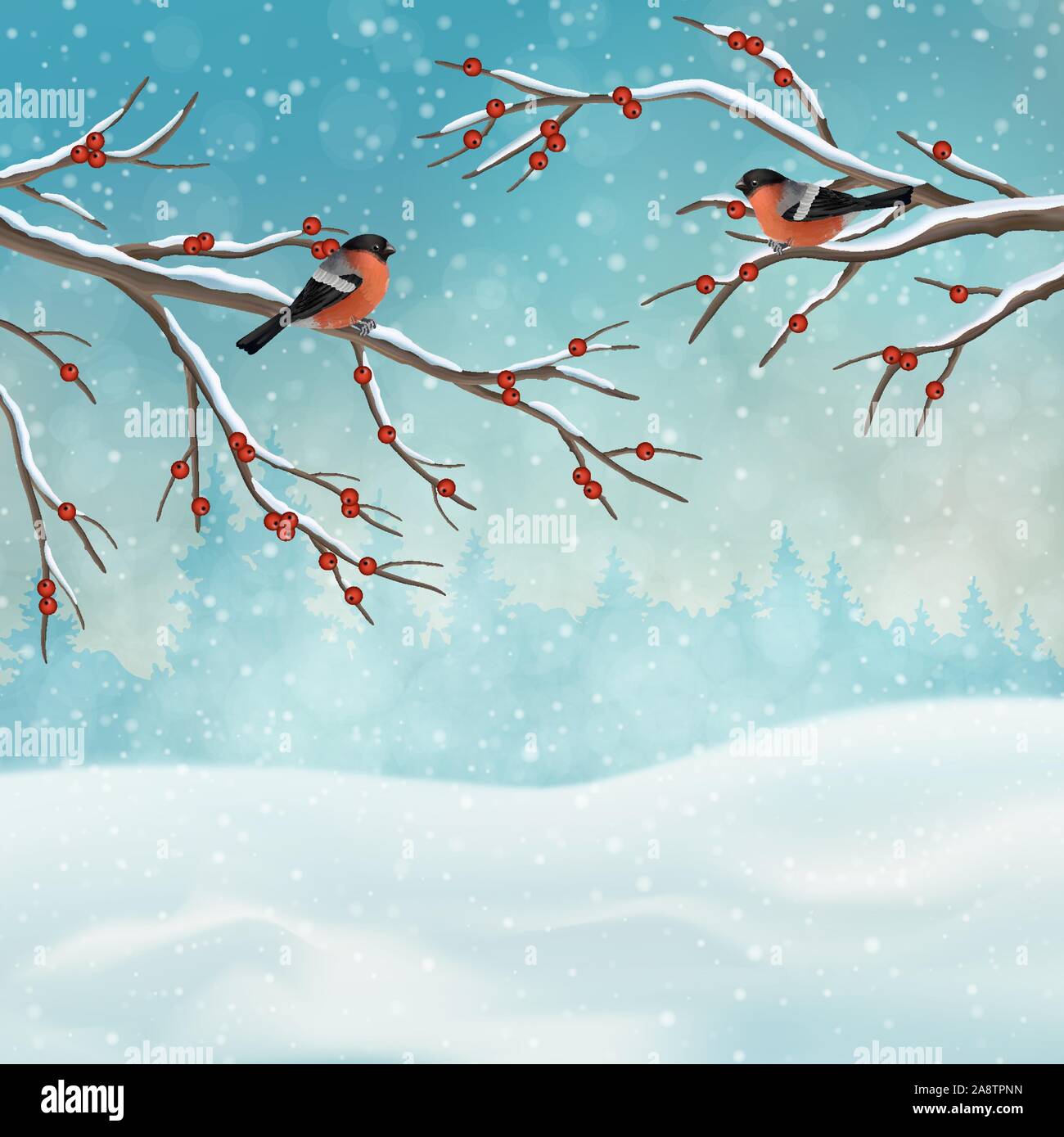 Composition christmas tree branch Stock Vector Images - Alamy