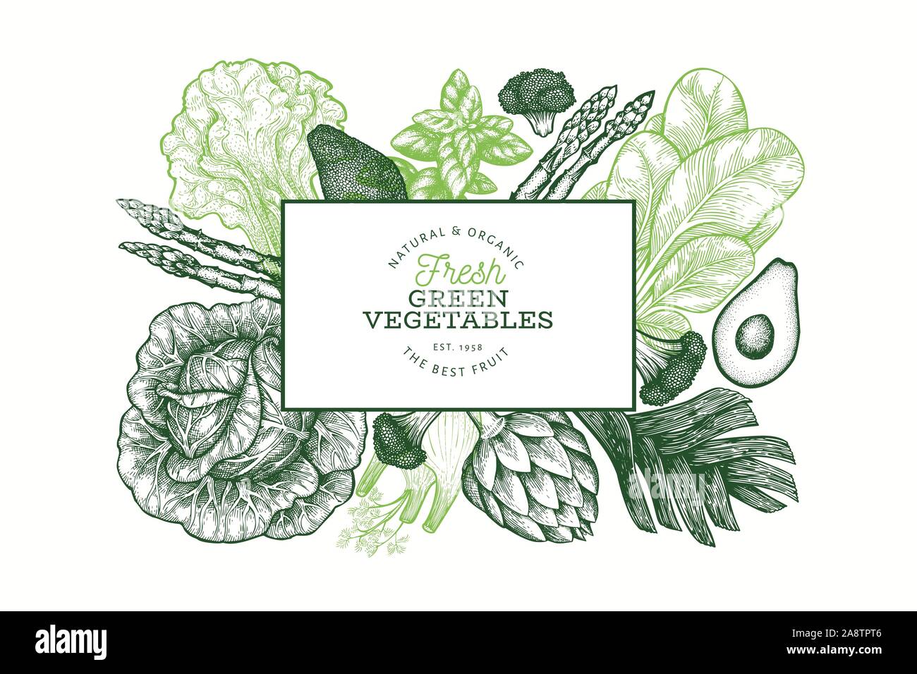 Green vegetable design template. Hand drawn vector food illustration ...