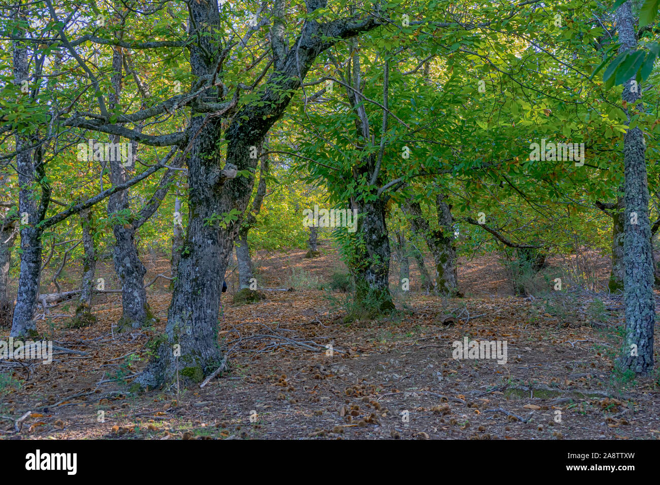 Scenic mediterranean landscape sierra hi-res stock photography and ...