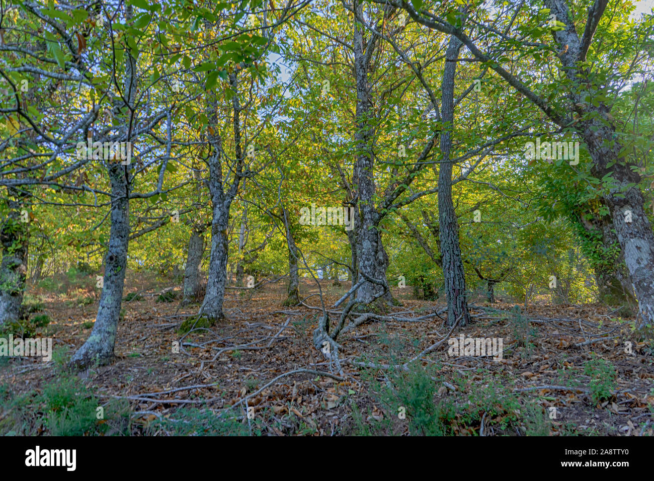 Scenic mediterranean landscape sierra hi-res stock photography and ...