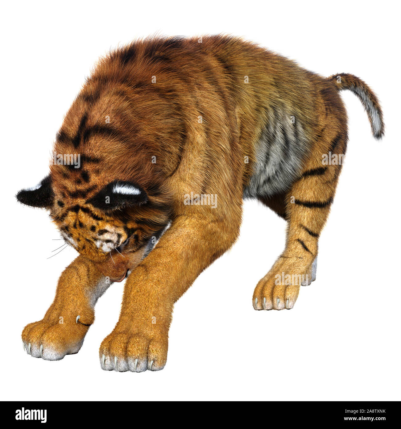 3D rendering of a big cat tiger isolated on white background Stock ...
