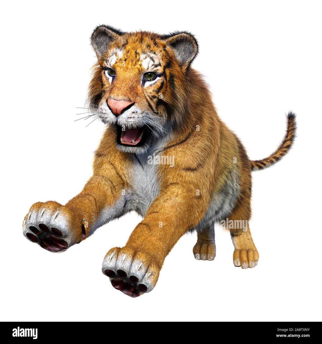 3D rendering of a big cat tiger isolated on white background Stock ...