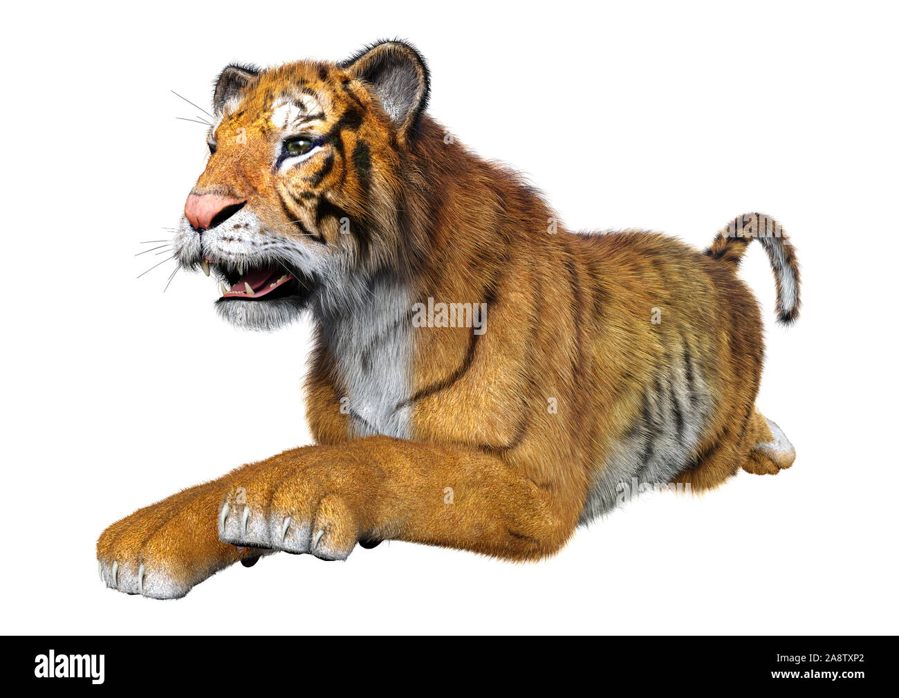 3D rendering of a big cat tiger isolated on white background Stock ...