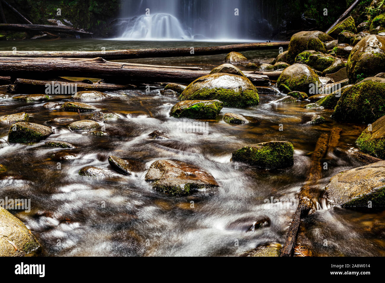 Beauchamp Falls in Otway National Park, Victoria, Australia Stock Photo ...