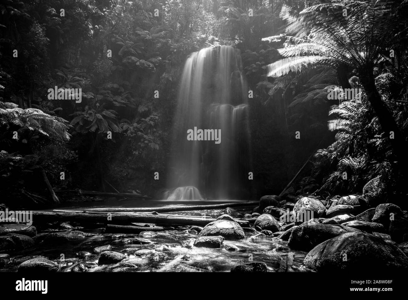 Moss australia Black and White Stock Photos & Images - Alamy