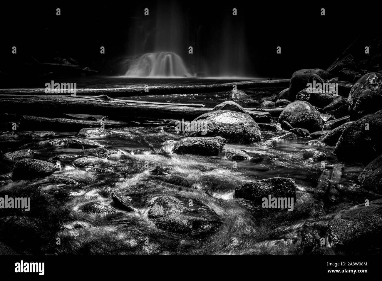 Moss australia Black and White Stock Photos & Images - Alamy