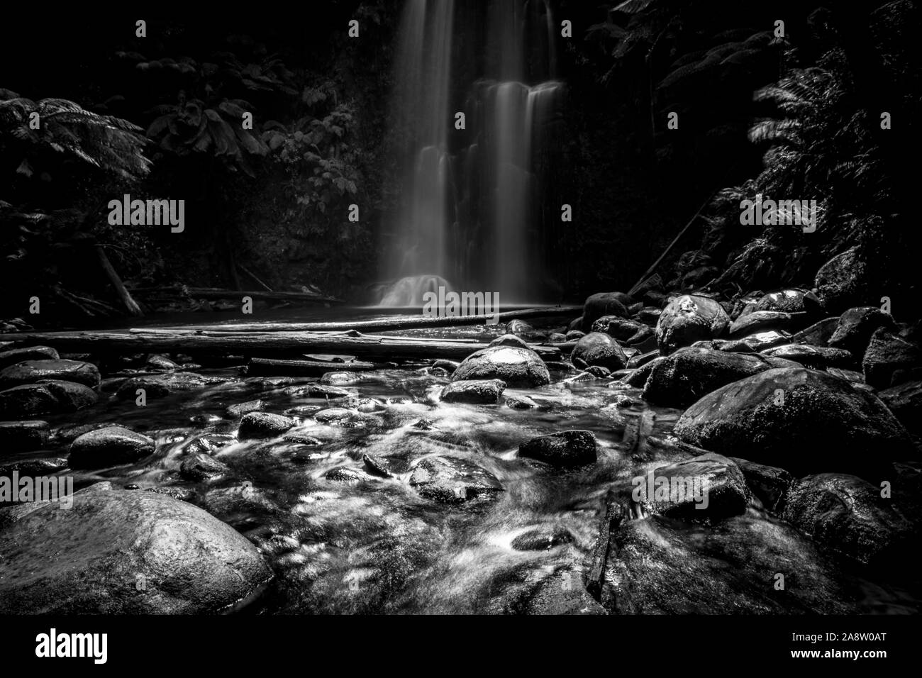 Moss australia Black and White Stock Photos & Images - Alamy