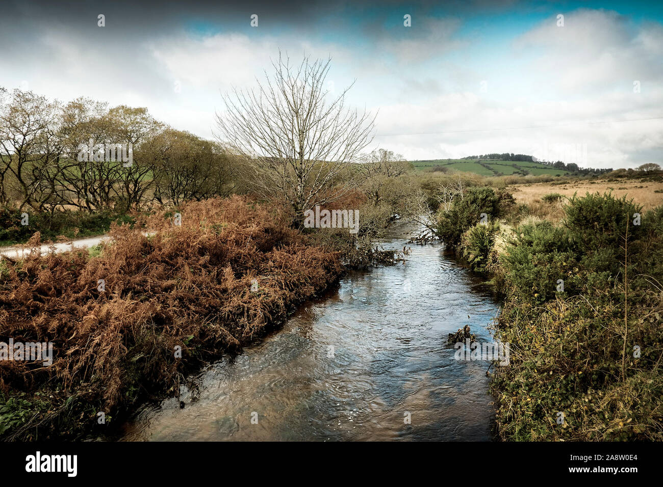 The River Fowey flowing through Bodmin Moor in Cornwall Stock Photo - Alamy