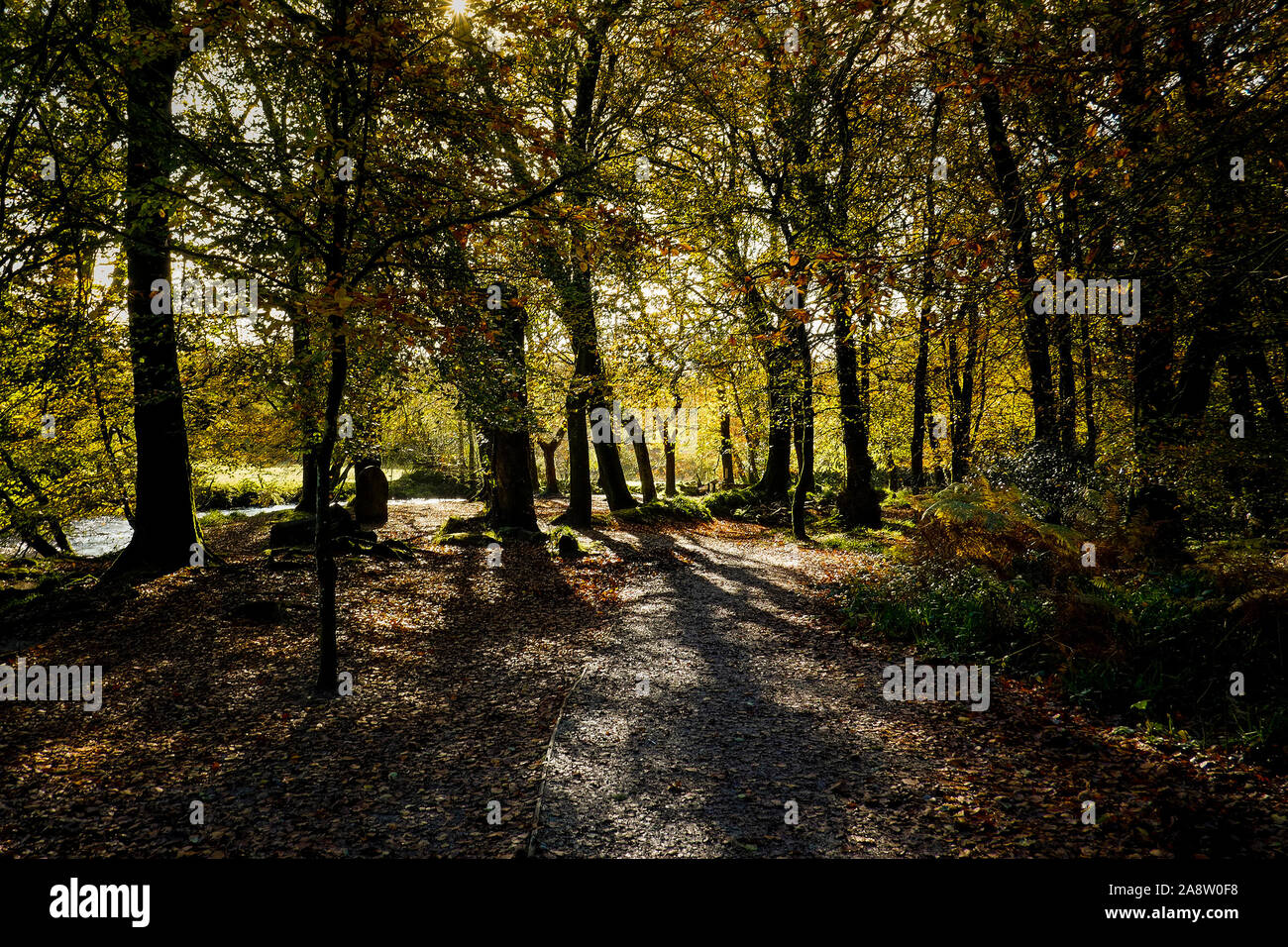 Atmosphereic hi-res stock photography and images - Alamy