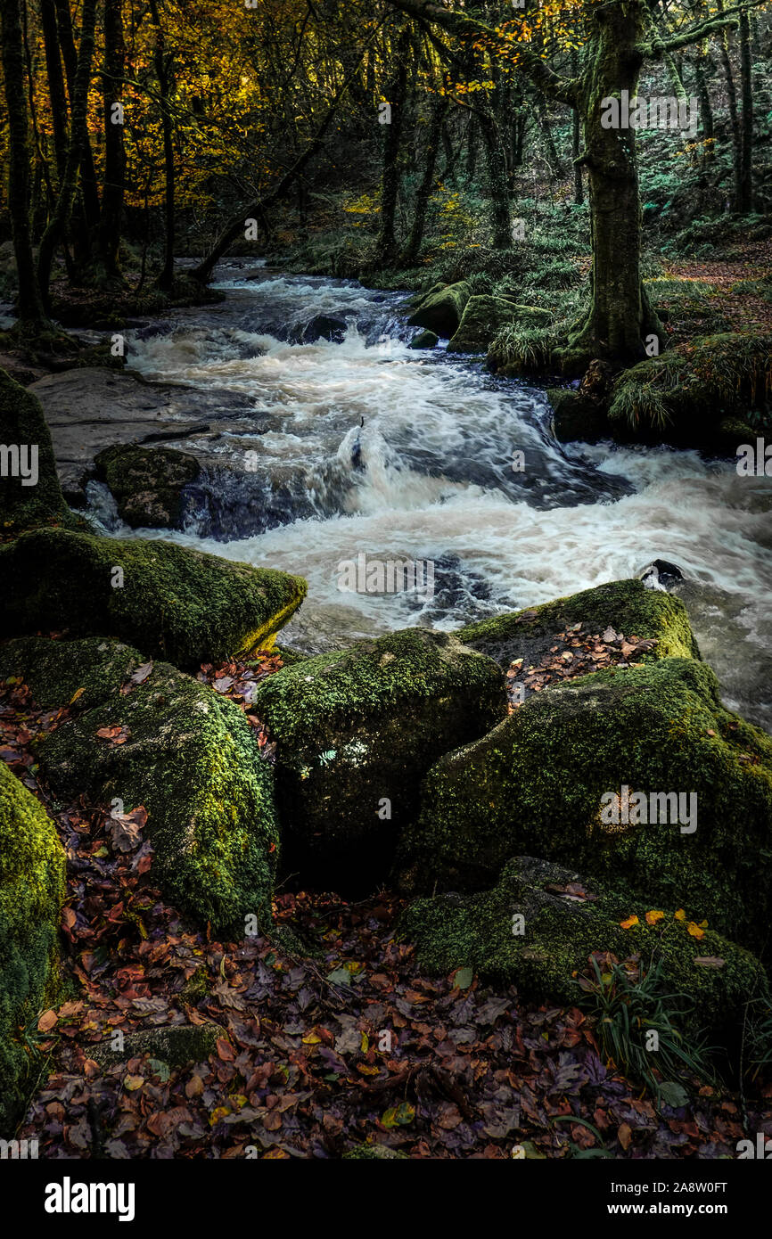 Wood falls hi-res stock photography and images - Alamy