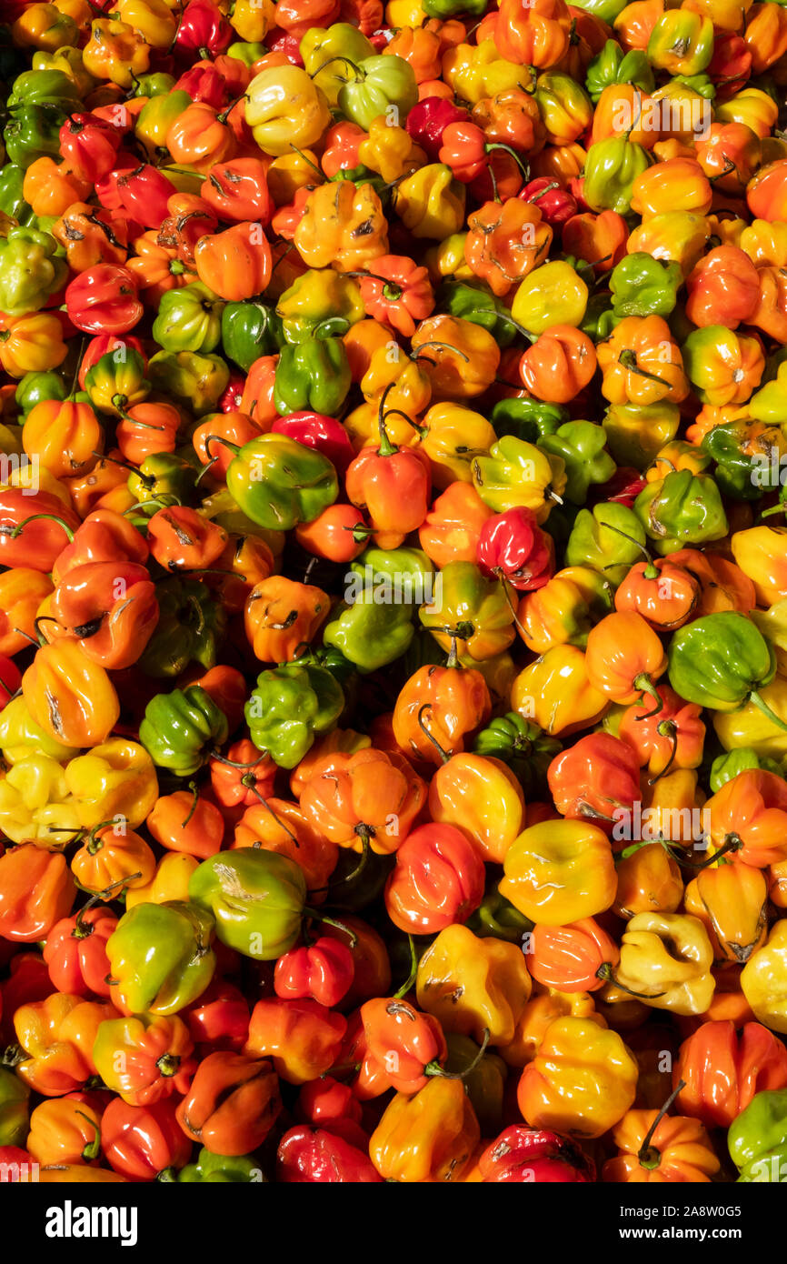 Guyanese peppers hi-res stock photography and images - Alamy