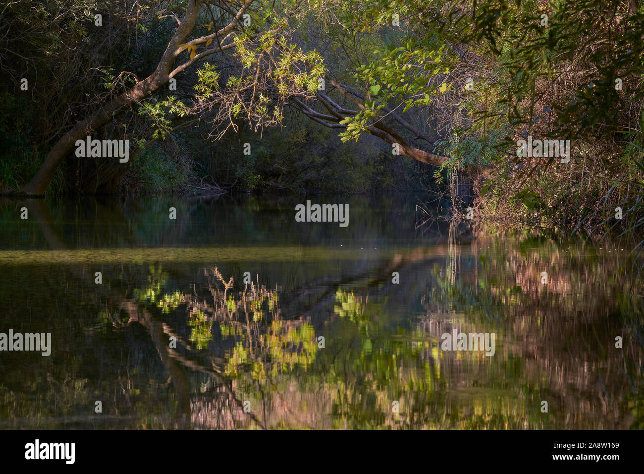 Turon park hi-res stock photography and images - Alamy