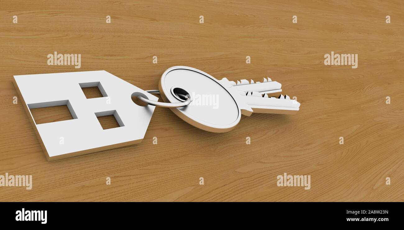 Key with a House Keychain for a new Home Extremely detailed and ...