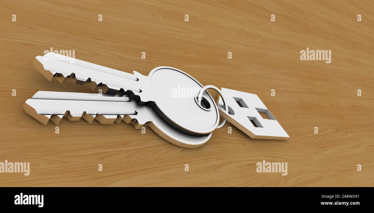 Key with a House Keychain for a new Home Extremely detailed and ...
