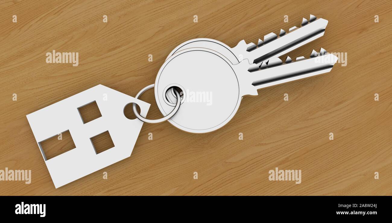 Key with a House Keychain for a new Home Extremely detailed and ...
