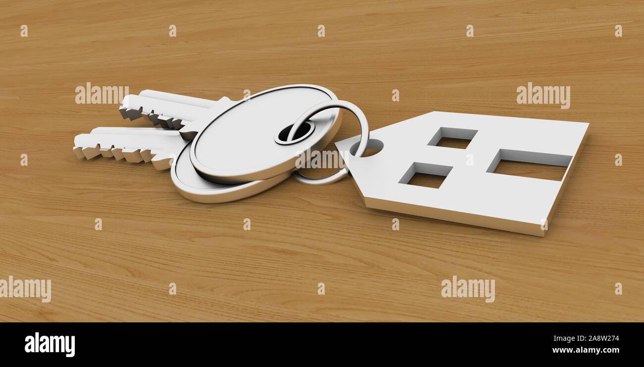 Key with a House Keychain for a new Home Extremely detailed and ...