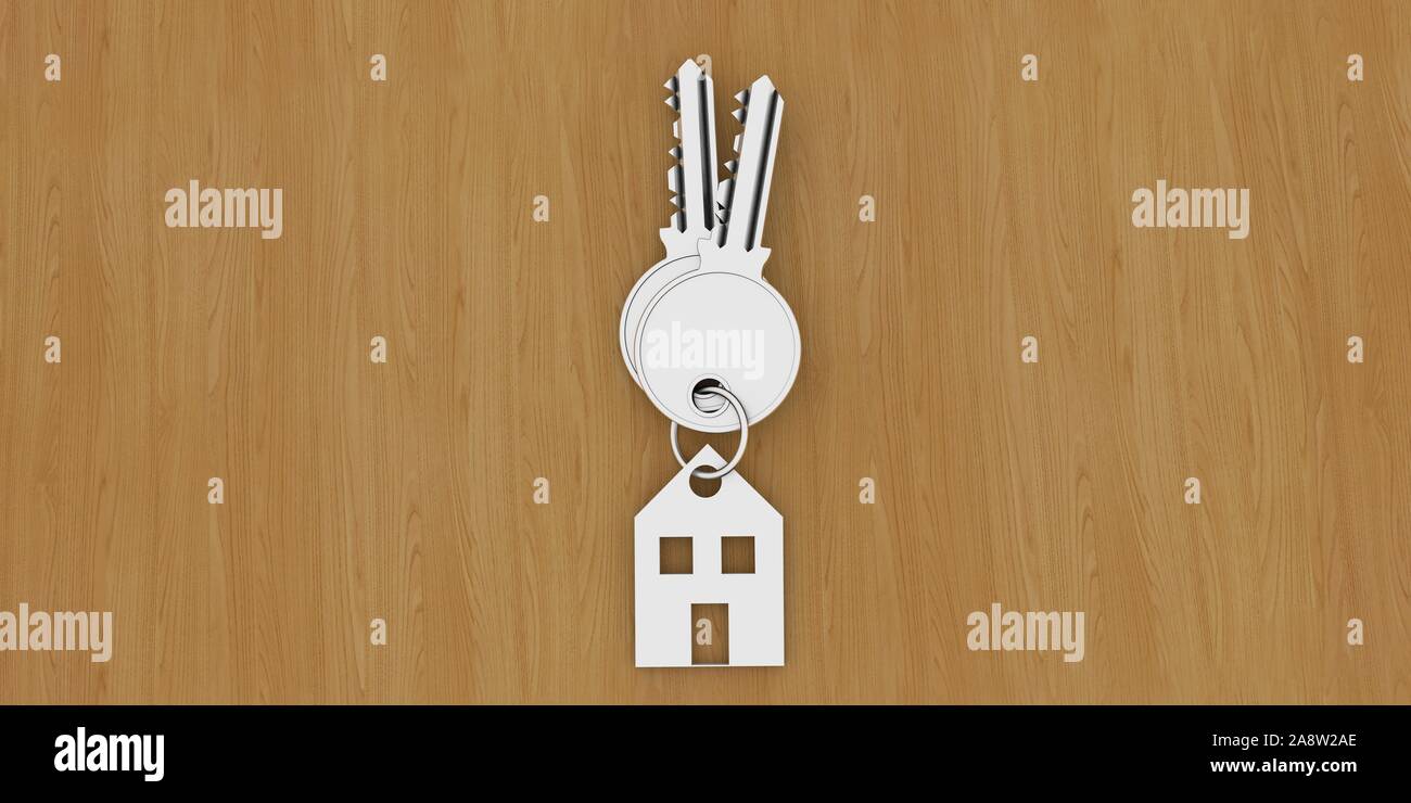 Key with a House Keychain for a new Home Extremely detailed and ...