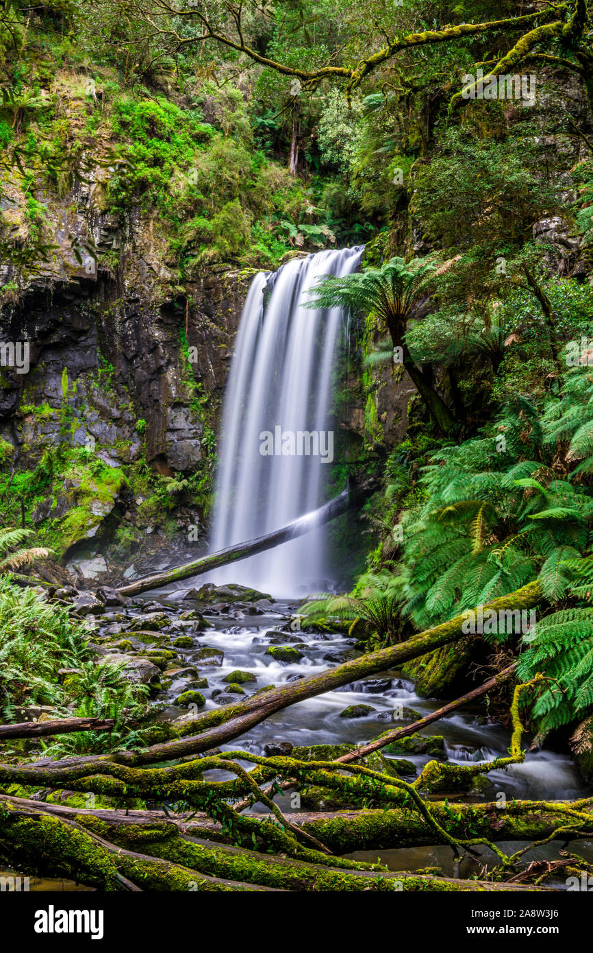 Hopetoun falls in otway national park hi-res stock photography and ...