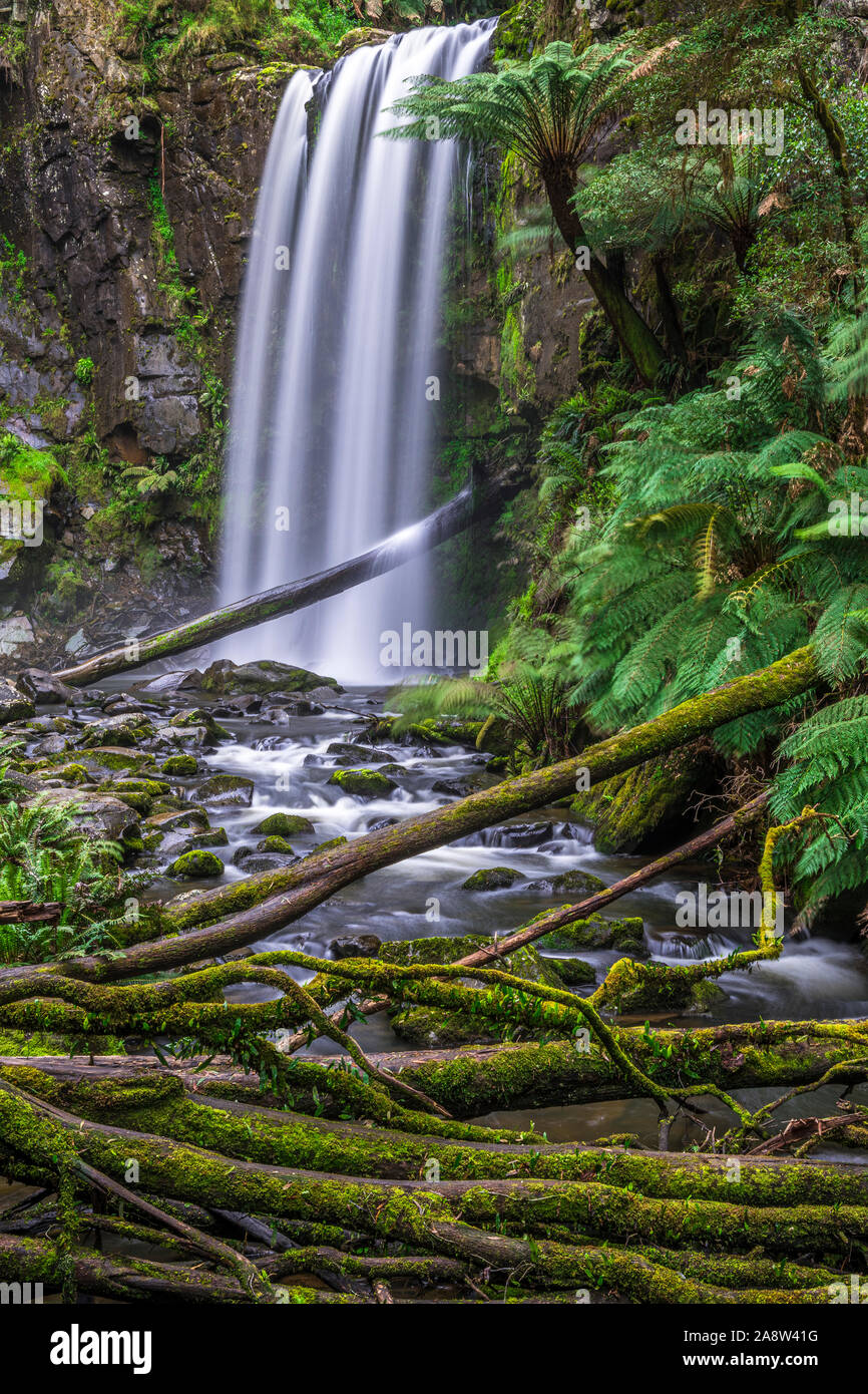 Hopetoun falls in otway national park hi-res stock photography and ...