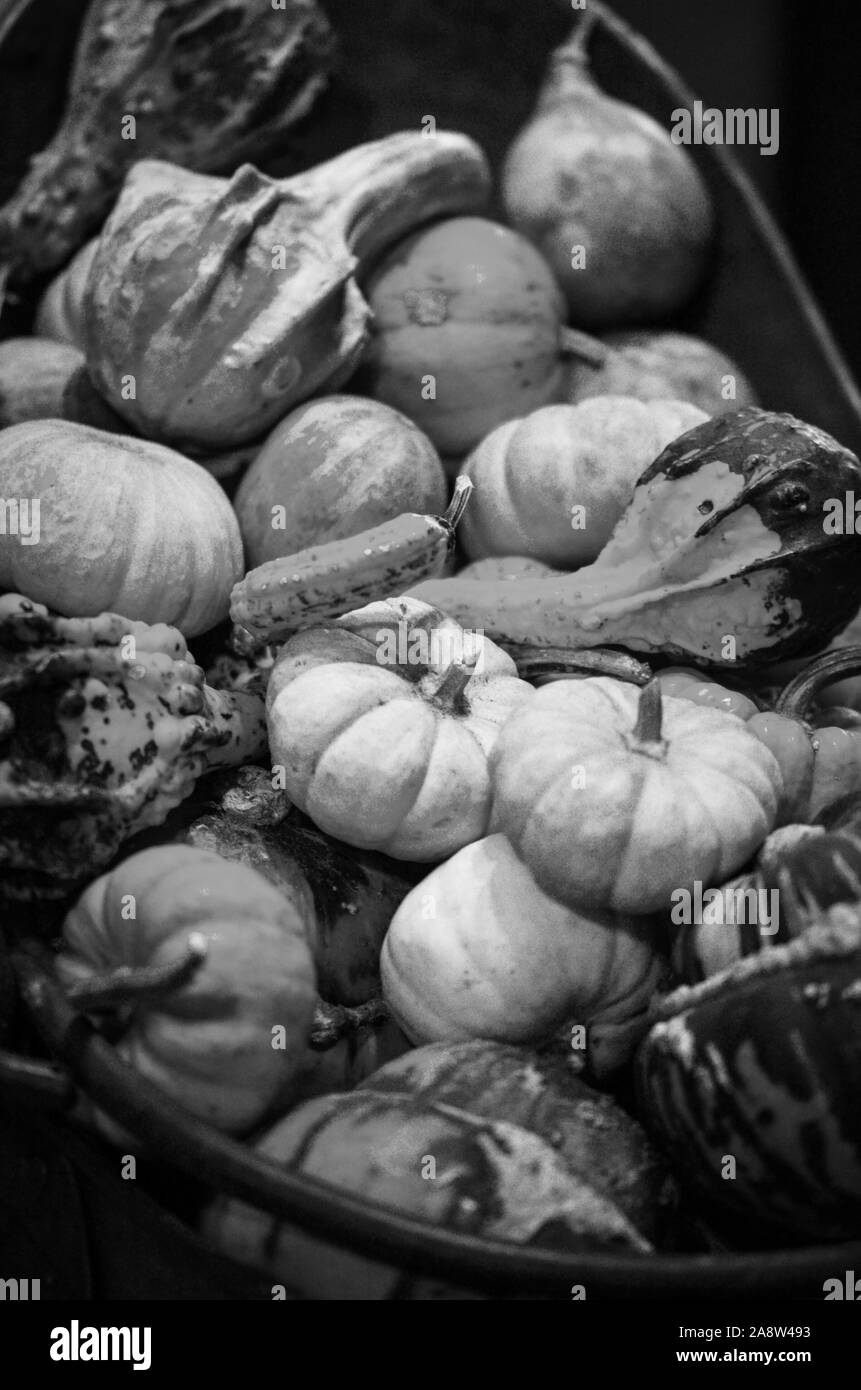 View traditional small colorful Black and White Stock Photos & Images ...