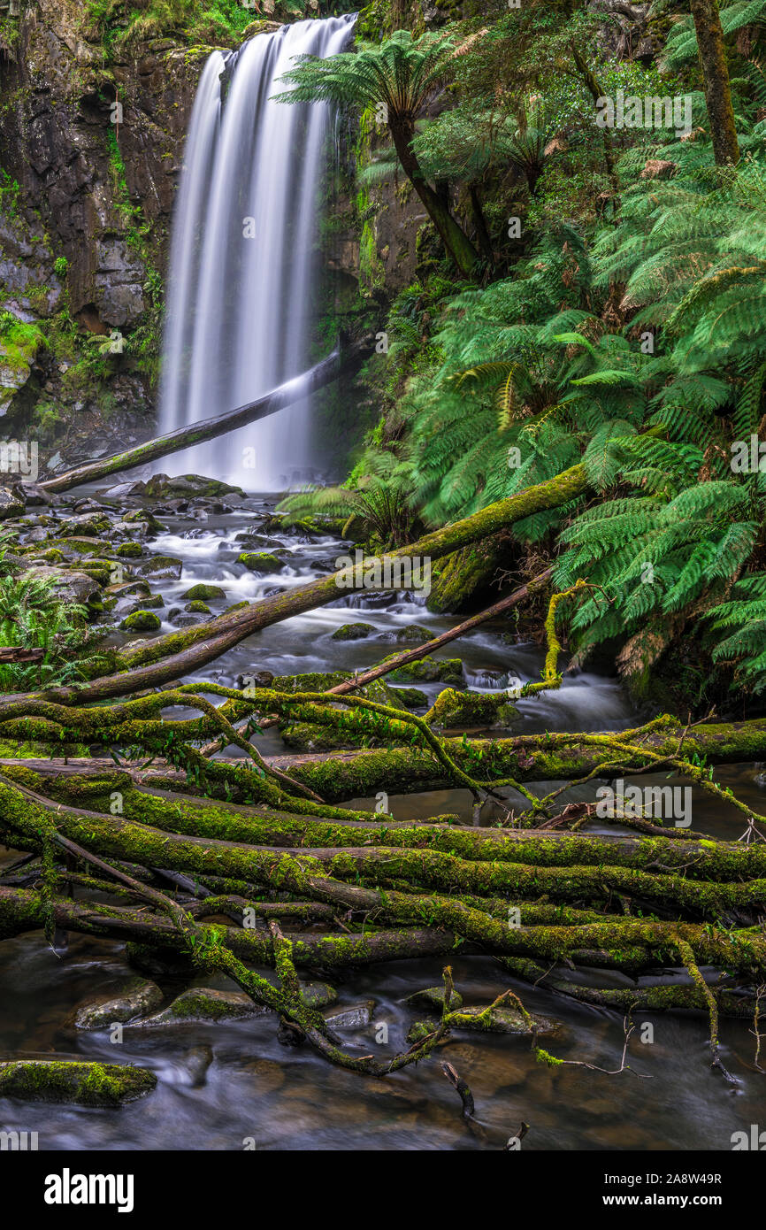 Hopetoun falls in otway national park hi-res stock photography and ...