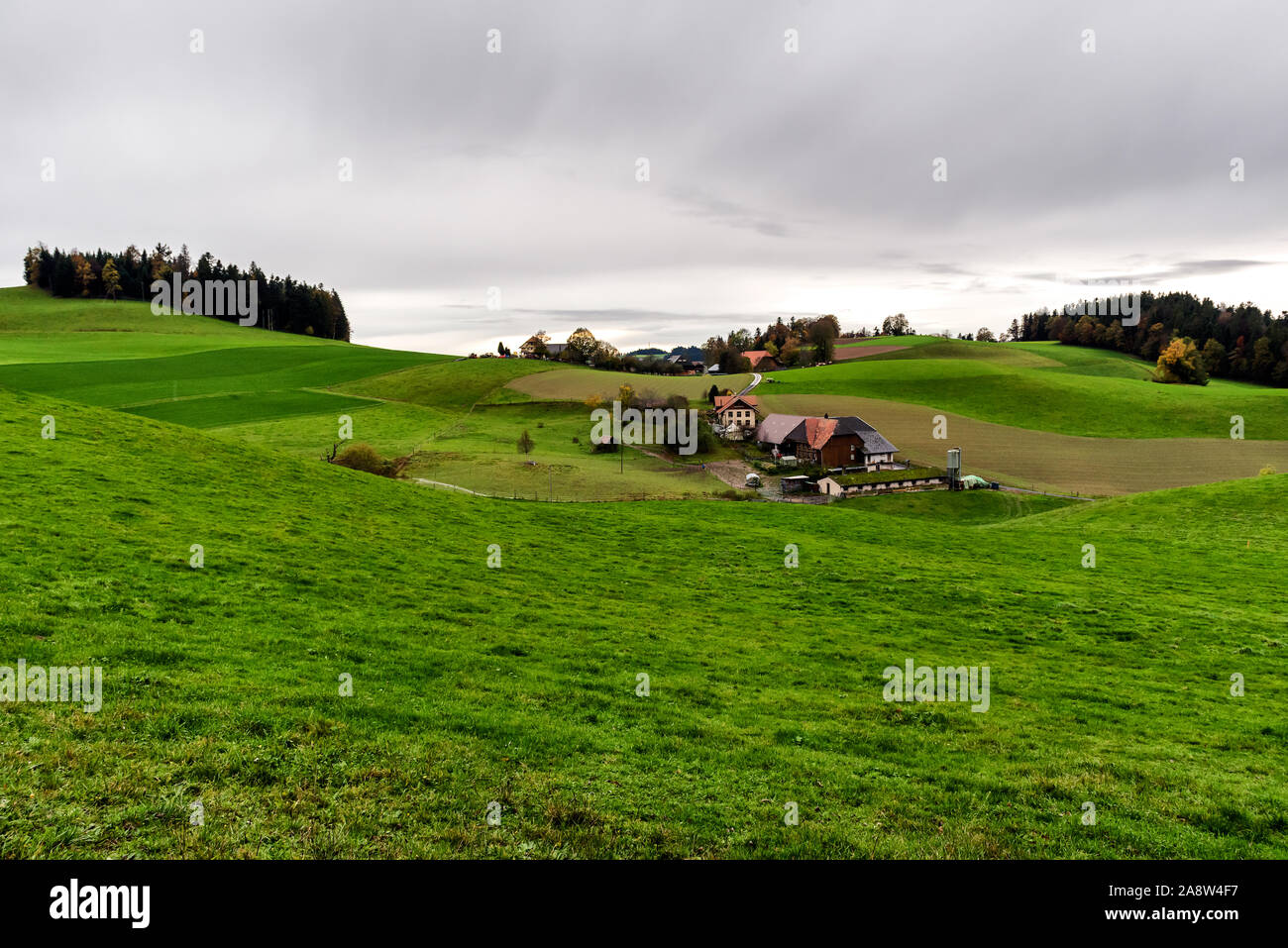Rural landscape in Emmental valley in Switzerland with grazing fields ...