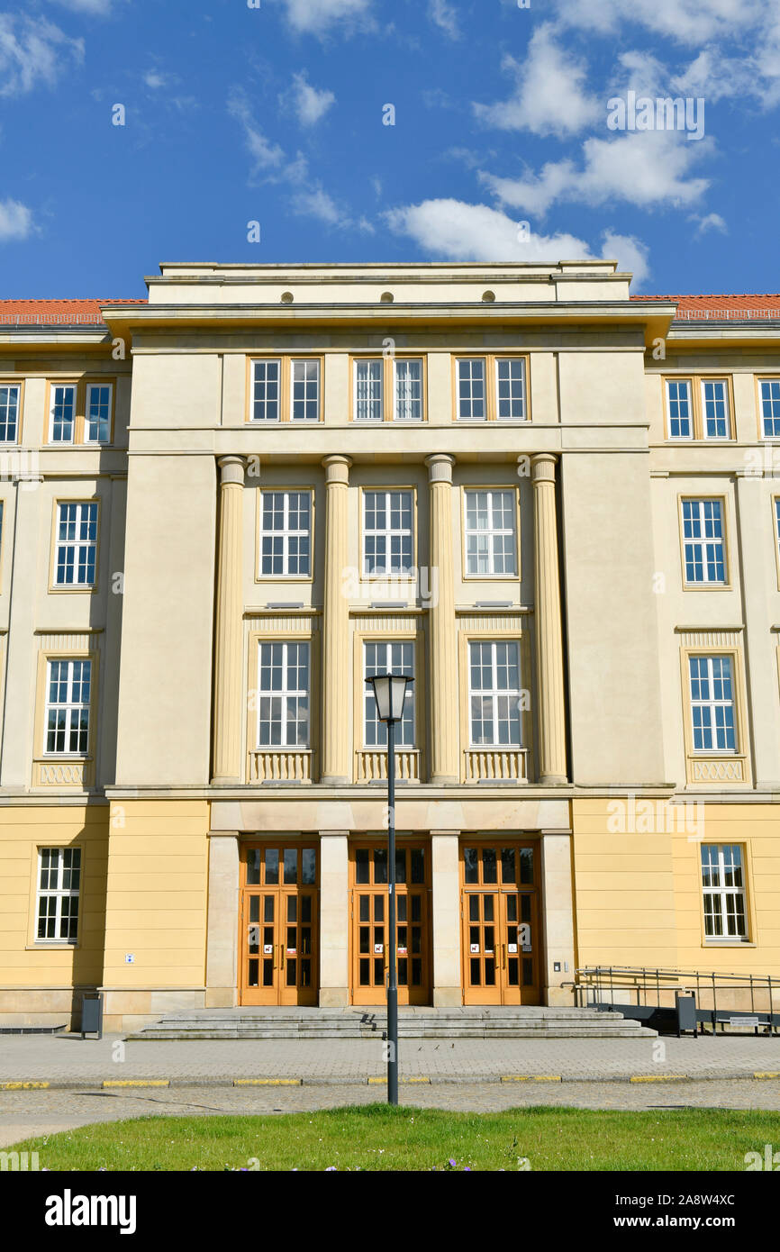 Rathaus, Zentraler Platz, Eisenhüttenstadt, Brandenburg, Deutschland ...
