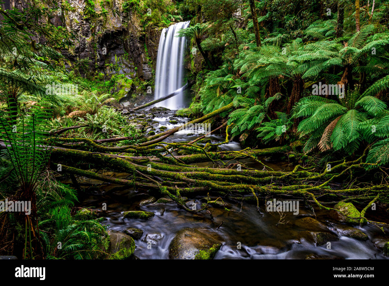 Hopetoun falls in otway national park hi-res stock photography and ...