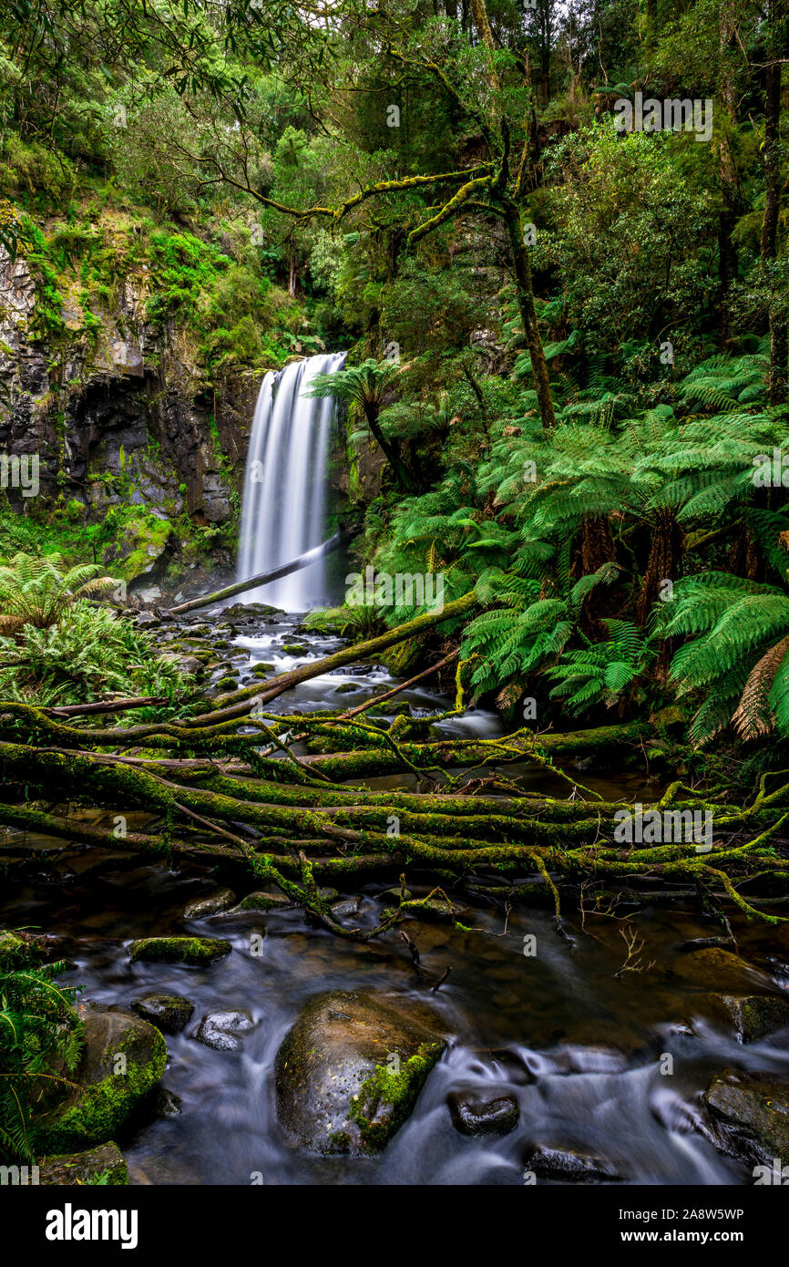 Hopetoun falls in otway national park hi-res stock photography and ...