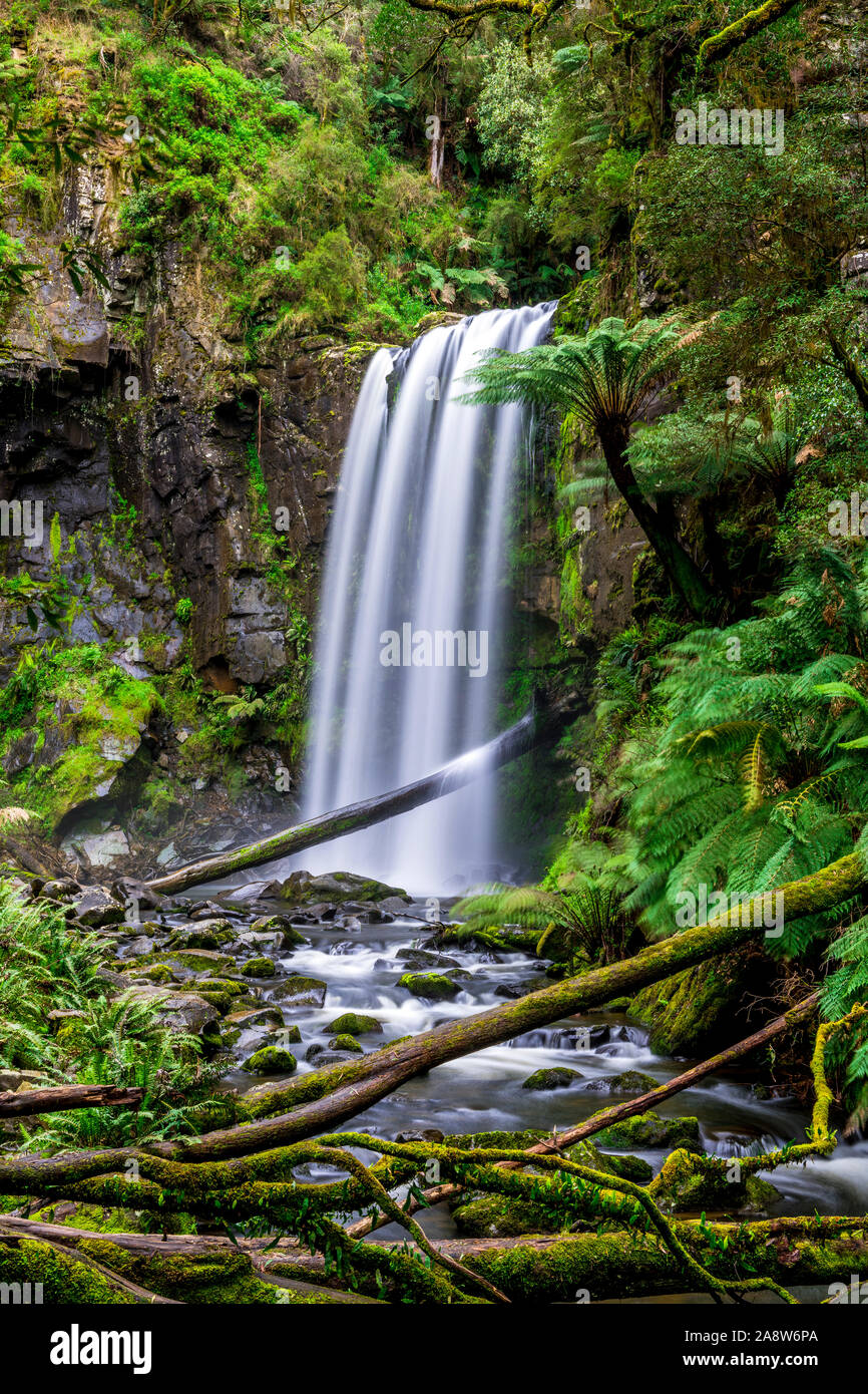Hopetoun falls in otway national park hi-res stock photography and ...