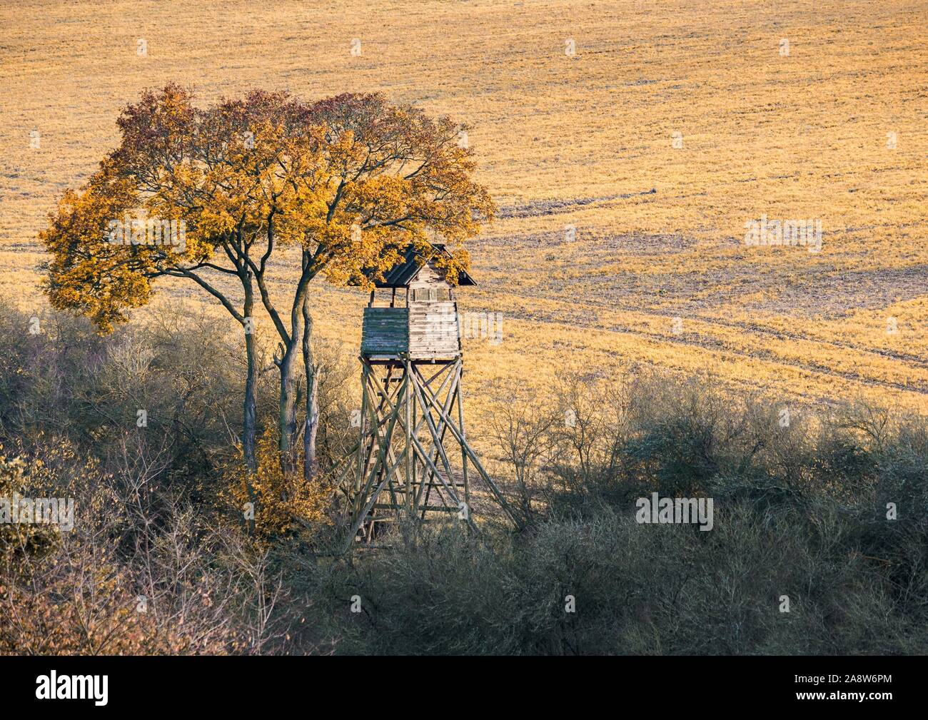 High stand hi-res stock photography and images - Alamy