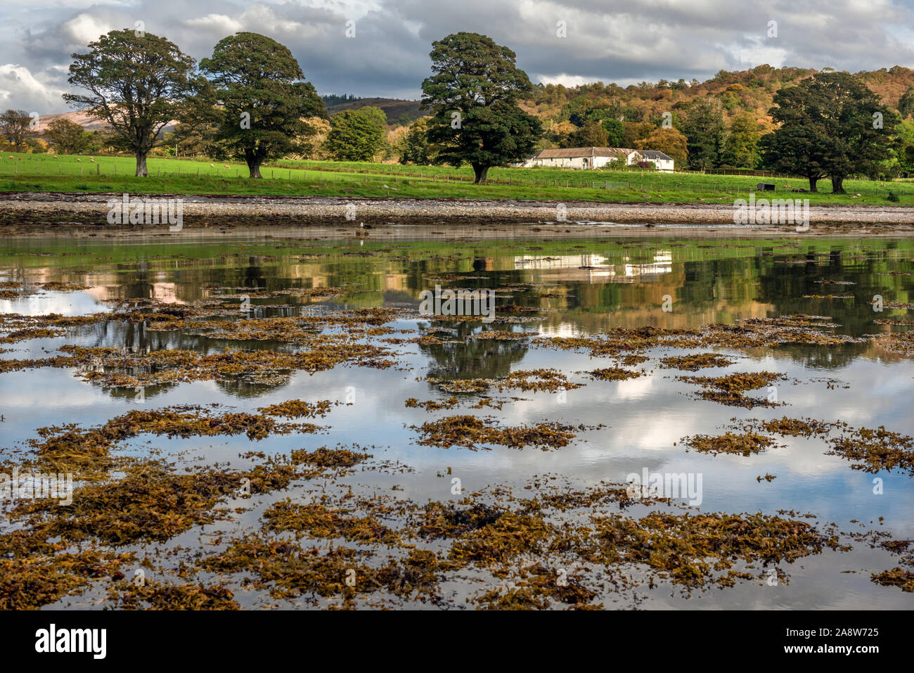 Scottish farm house hi-res stock photography and images - Alamy