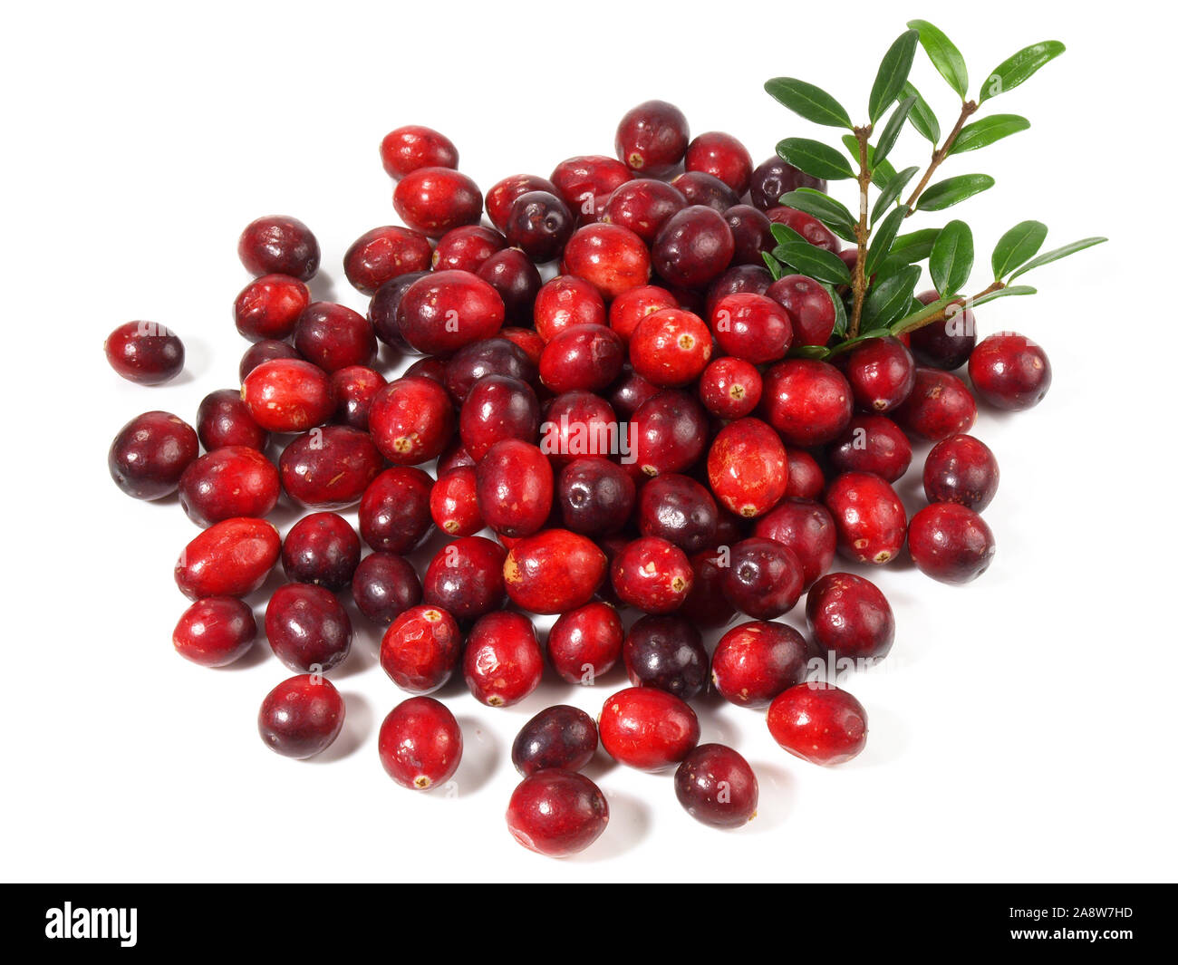 Cranberries on white Background Stock Photo - Alamy