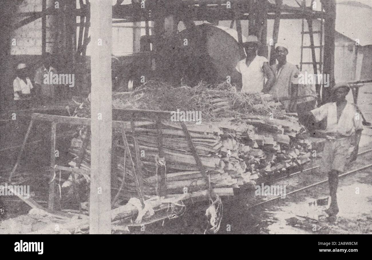 Sisal products hi-res stock photography and images - Alamy