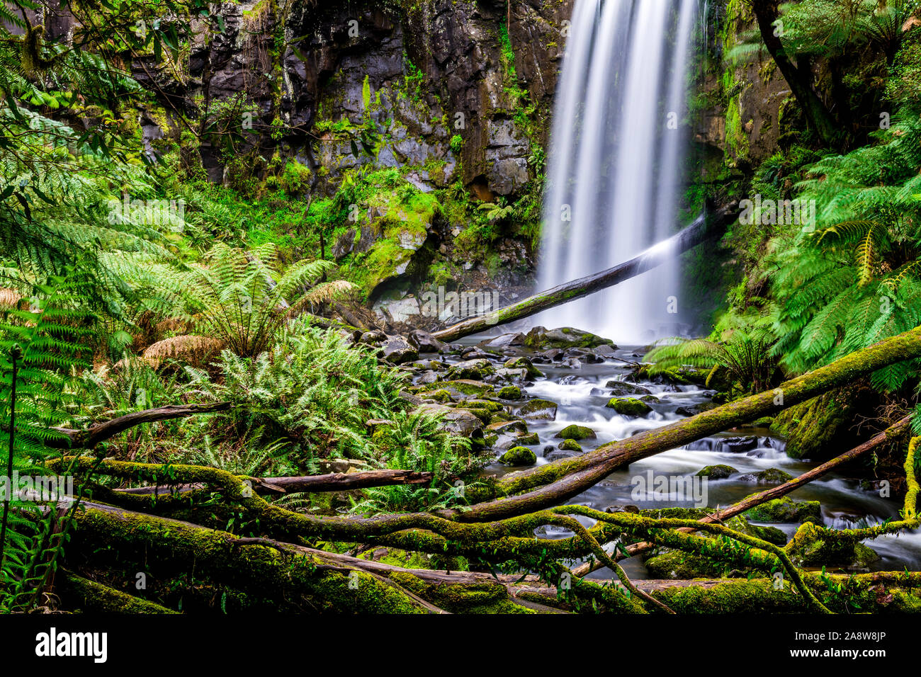 Hopetoun Falls in Otway National Park in Victoria, Australia Stock ...