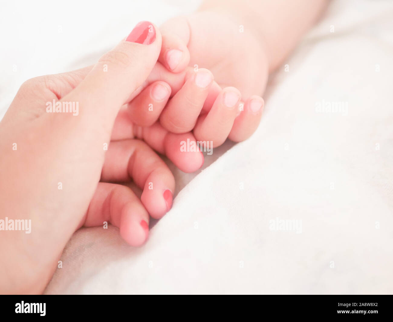Mom holds the hand of a newborn baby. Close-up. A place to write ...