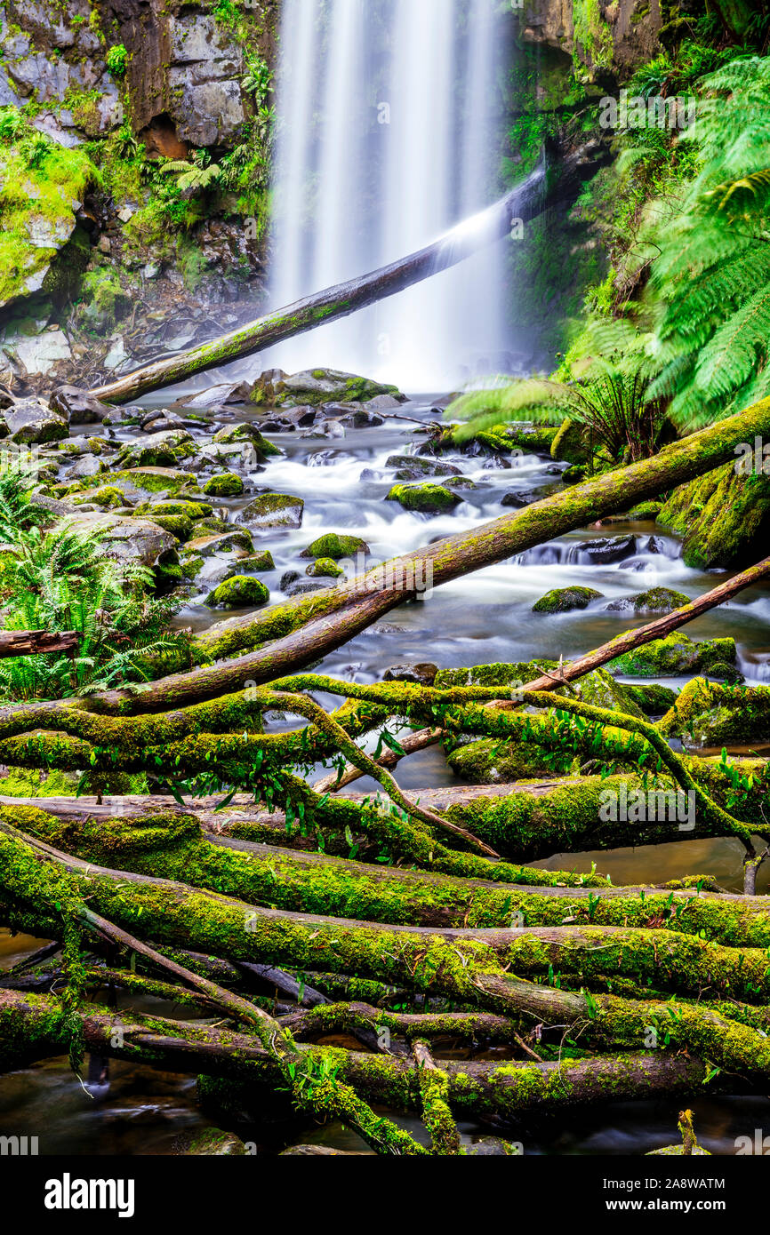 Hopetoun falls in otway national park hi-res stock photography and ...