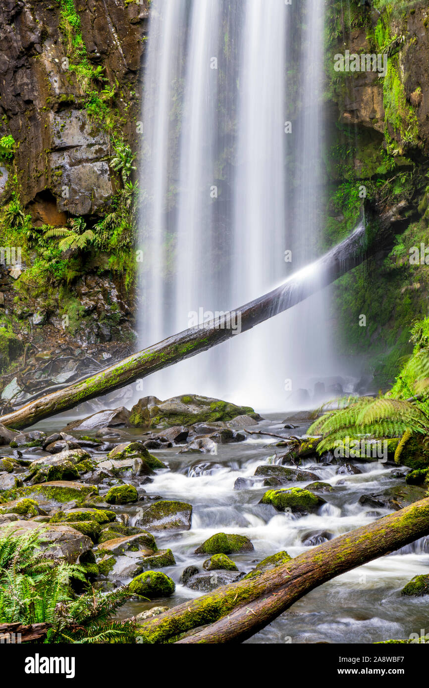 Hopetoun Falls in Otway National Park in Victoria, Australia Stock ...
