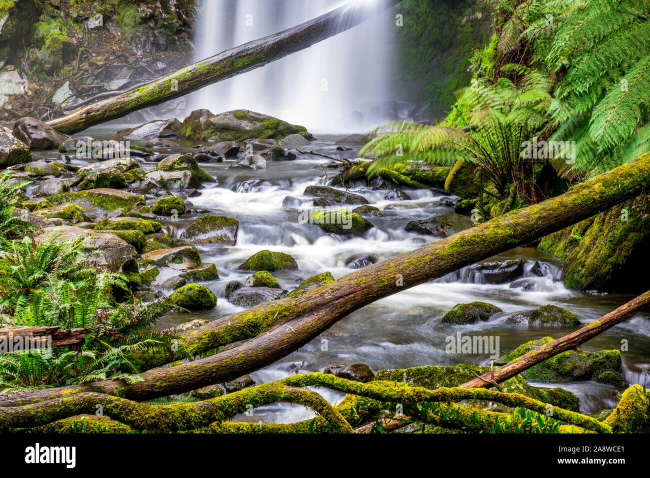Hopetoun falls in otway national park hi-res stock photography and ...