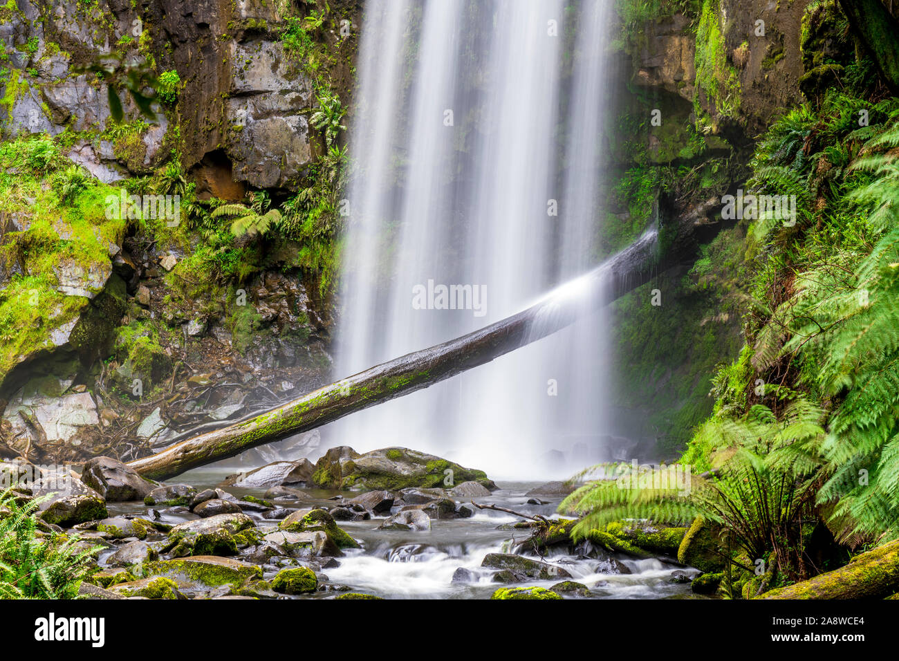 Hopetoun falls in otway national park hi-res stock photography and ...