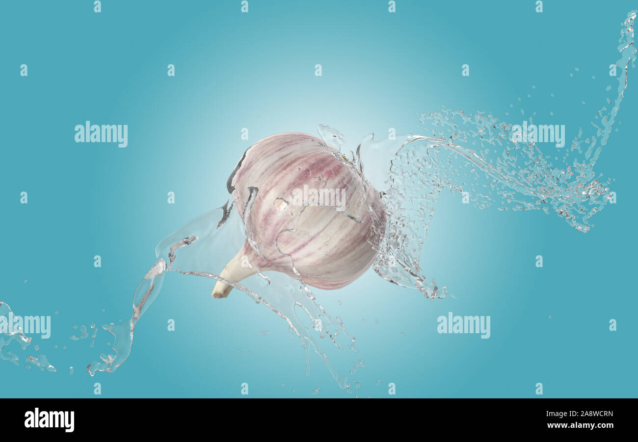 Garlic is flowing in the air while pure water splashes on blue ...