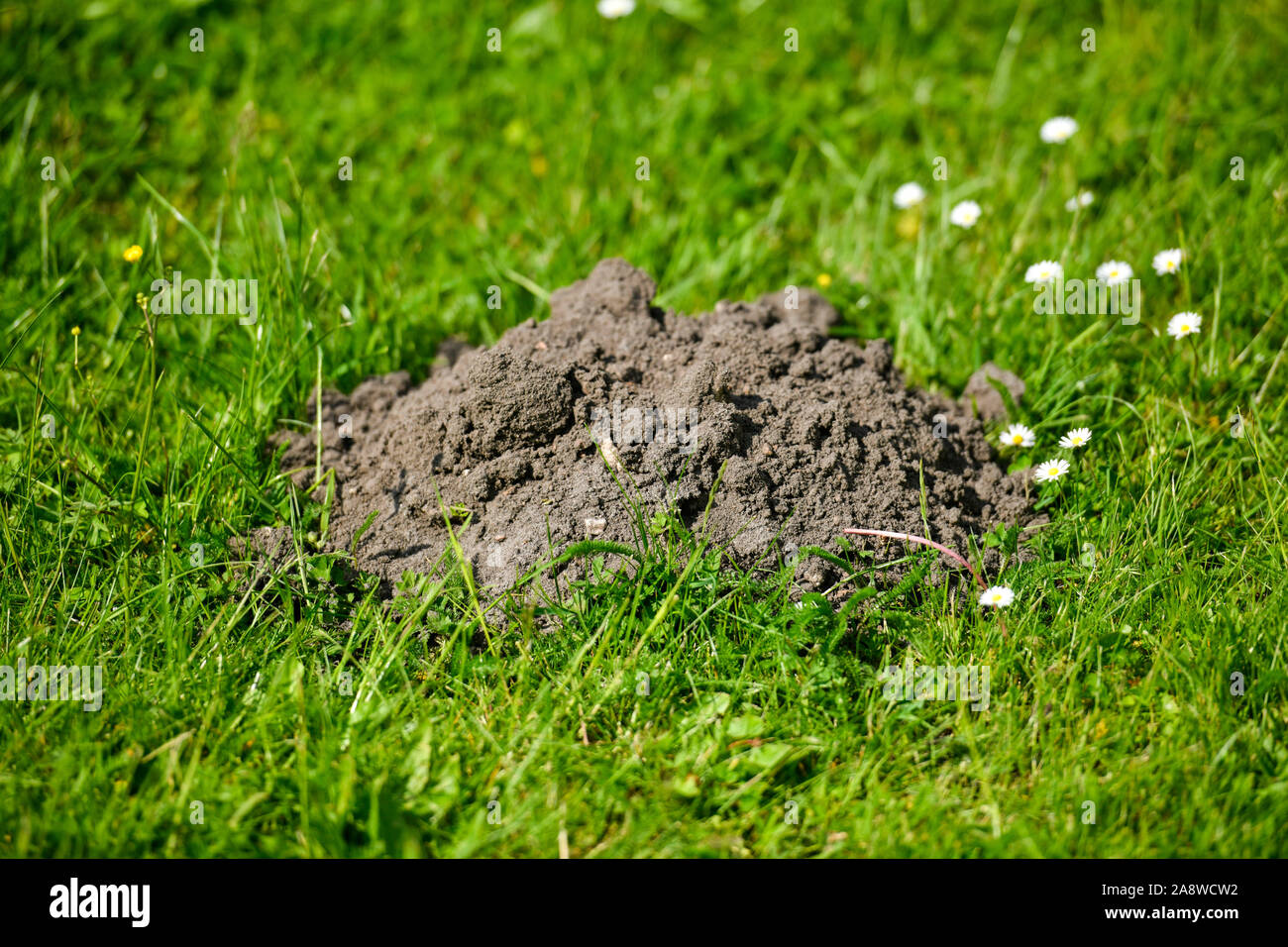 Erdhaufen hi-res stock photography and images - Alamy