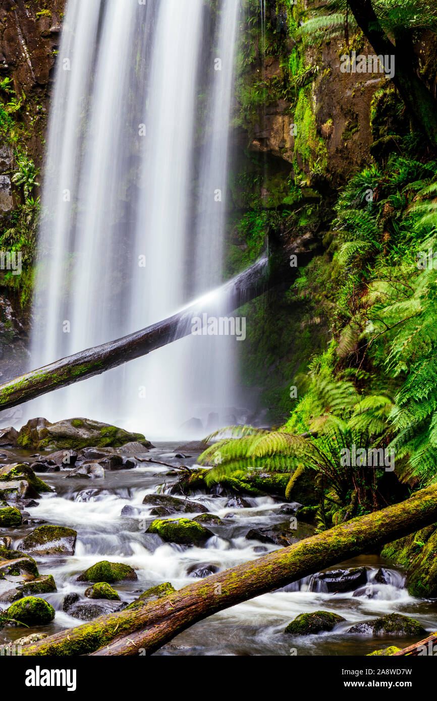 Hopetoun falls in otway national park hi-res stock photography and ...